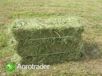Heu, Futtergras, pellet Mazowieckie • Agrotrader.pl